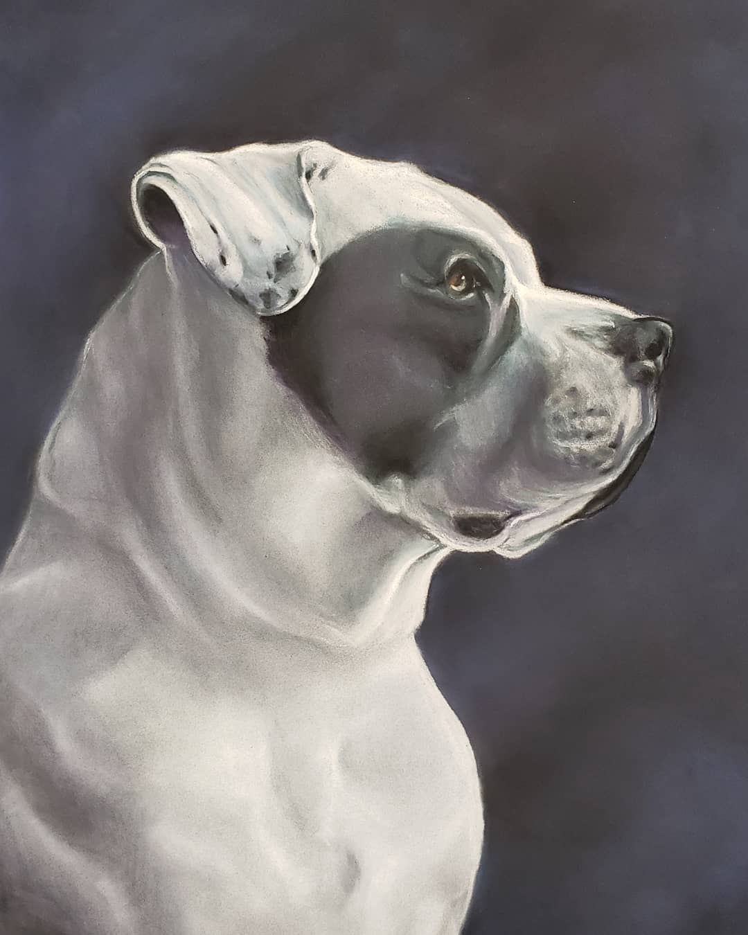 A Few Of My Favorite Things: Pastels – Art Room Happenings!